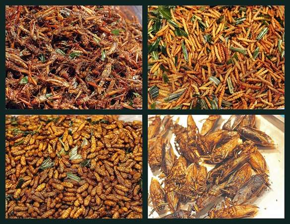 13 of the Most Unusual Snack Foods From Around the World - BootsnAll ...