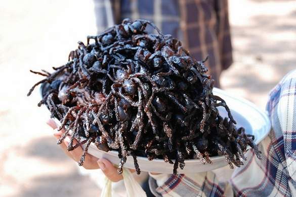 13 of the Most Unusual Snack Foods From Around the World - BootsnAll ...