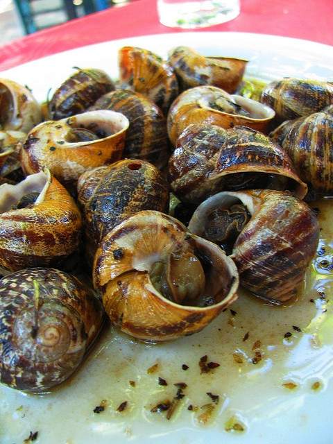 7 Greek Food Festivals to Whet Your Appetite - BootsnAll Travel Articles