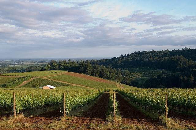 Spring in Wine Country - BootsnAll Travel Articles