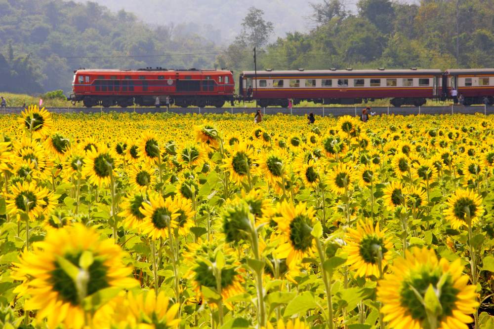 A How-To Guide for Enjoying Long Train Rides - BootsnAll Travel Articles
